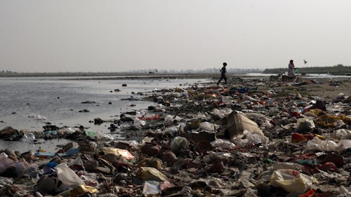 Mother Yamuna | Solothurner Filmtage