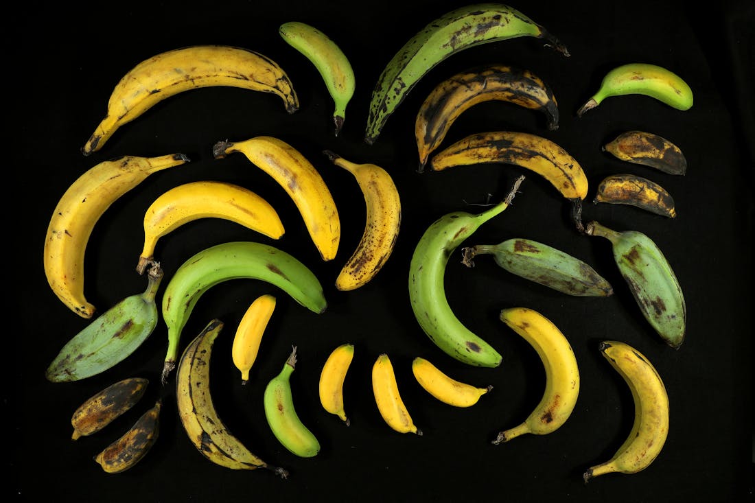 Labouyi Bannann | Journées de Soleure